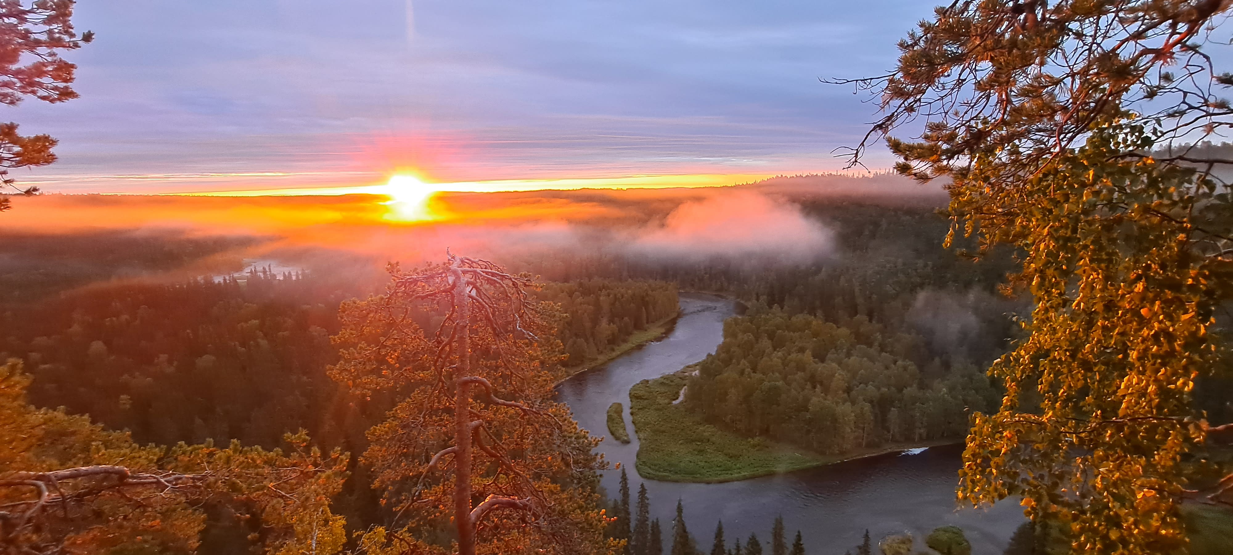 Finland's autumn leaves in pictures - Nord News