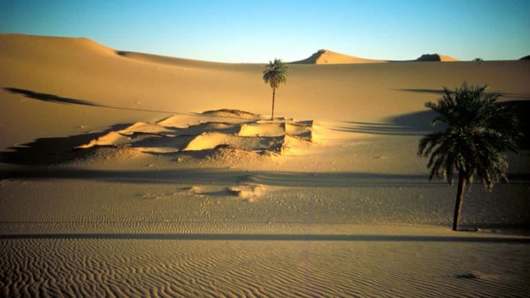 Tutkimus: Saharassa valtavat vesivarat | Yle