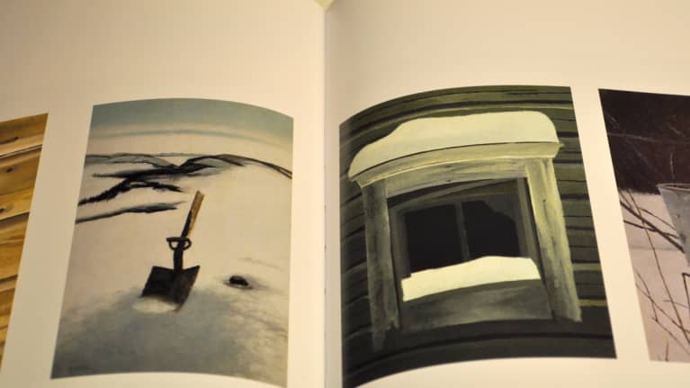 Taiteilija ennustaa taidekirjan kuolemaa | Yle