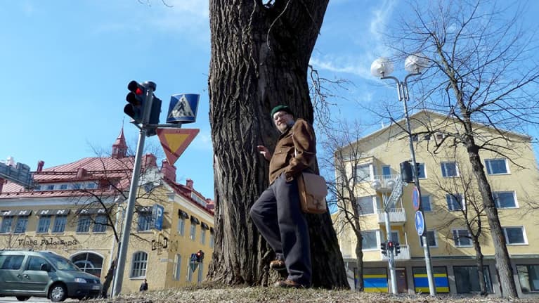 Poppeli voi olla kohta pop | Yle