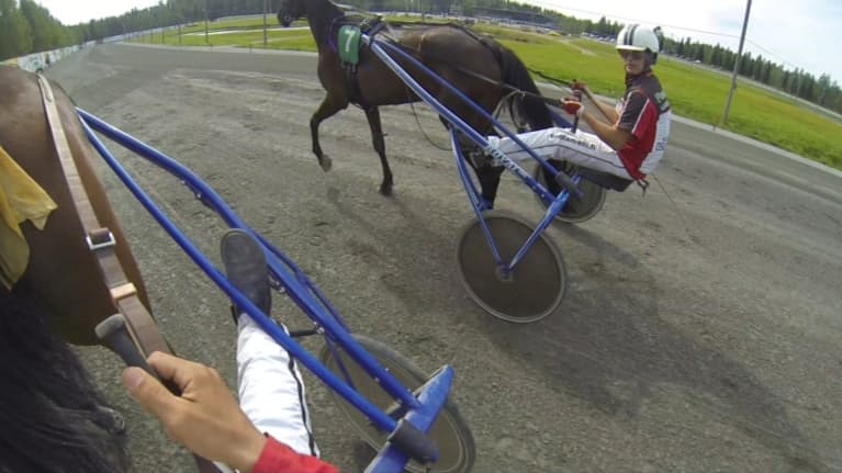 Fintoto: Ravipalkintoihin ja hevoskasvatukseen yli 2,6 miljoonaa euroa ...