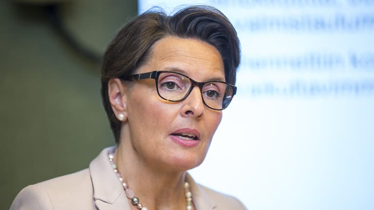 Berner leads ministers in 2015 earnings | Yle