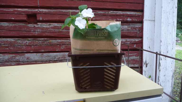 Papperspåse framom vikt tidning för bioavfall | Österbotten | Svenska Yle