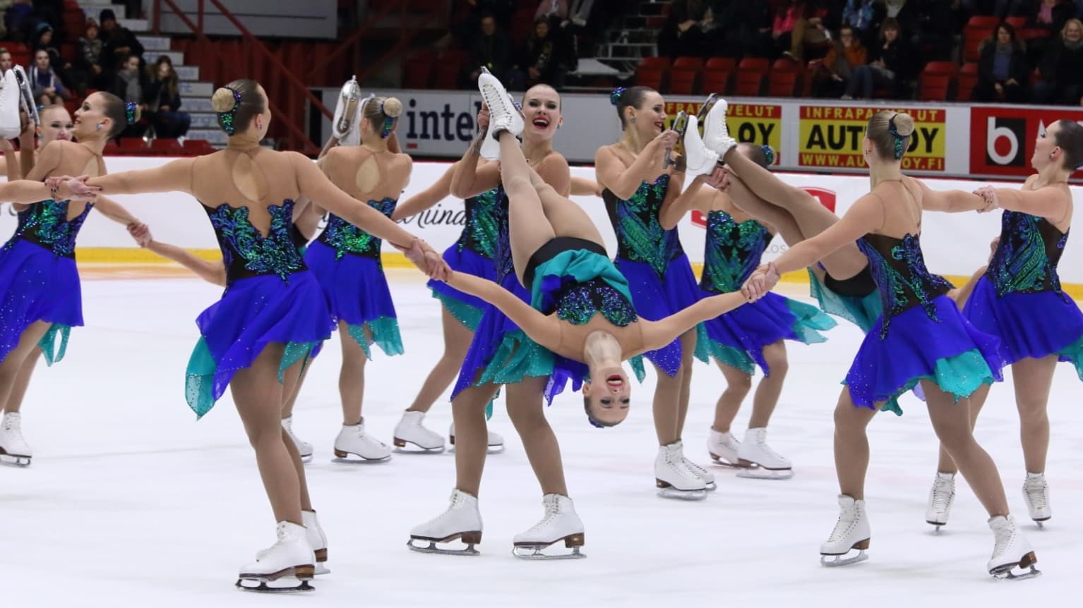 marigold iceunity 2011