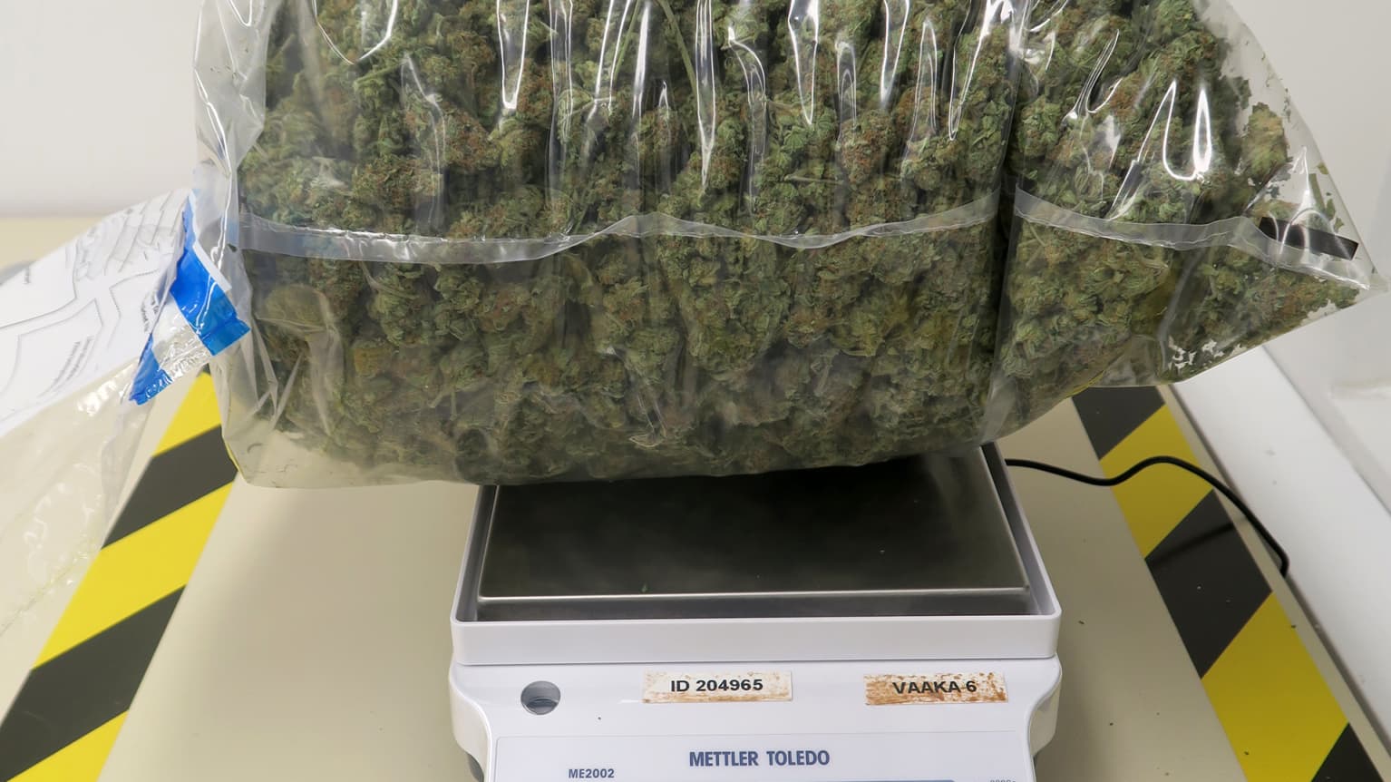 2kg weed
