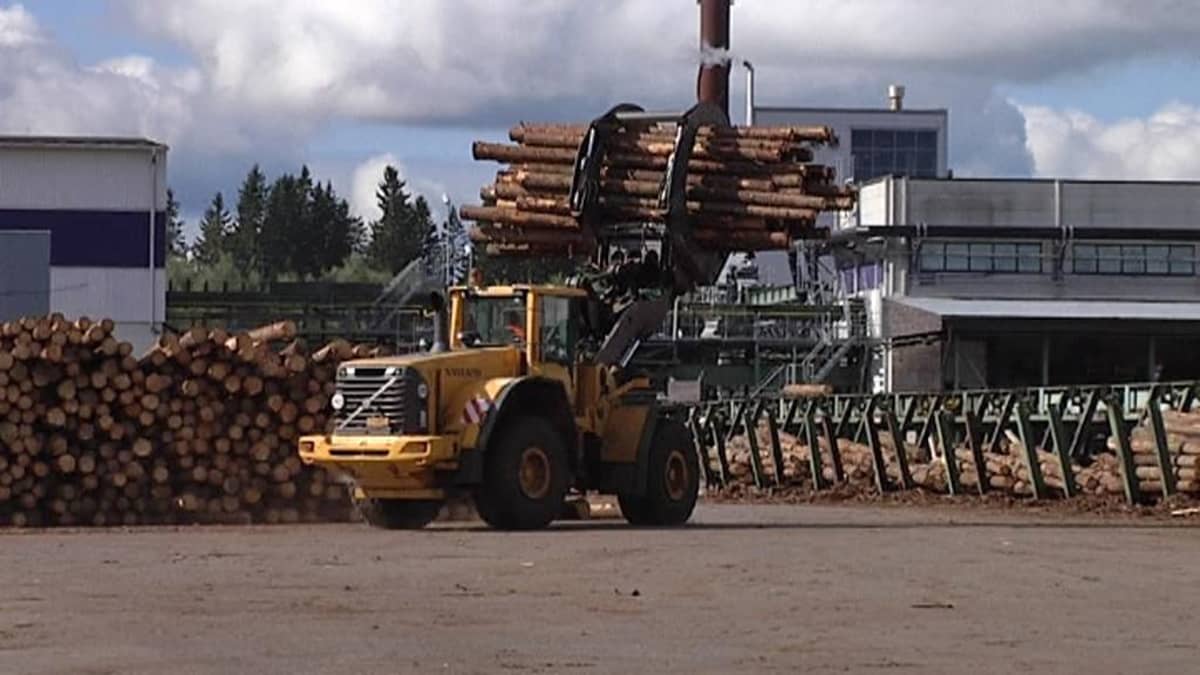 Metsäliitto aikoo lomauttaa sahoillaan | Yle Uutiset