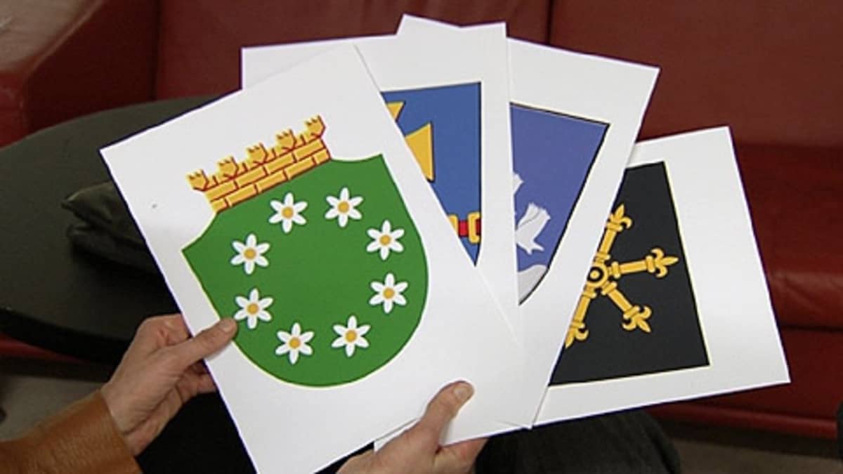Raaseporin vaakuna-kritiikki valtuuston arvioitavaksi | Yle Uutiset