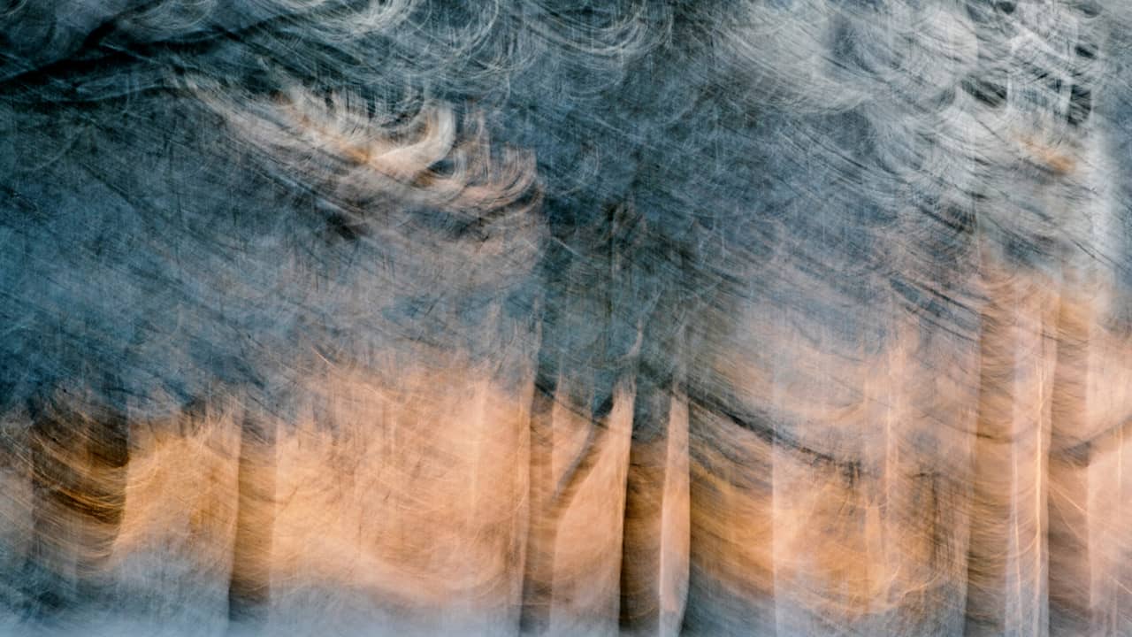 Luottavainen hirvi ja tanssivat kyyt | Minna Pyykön maailma | Yle ...