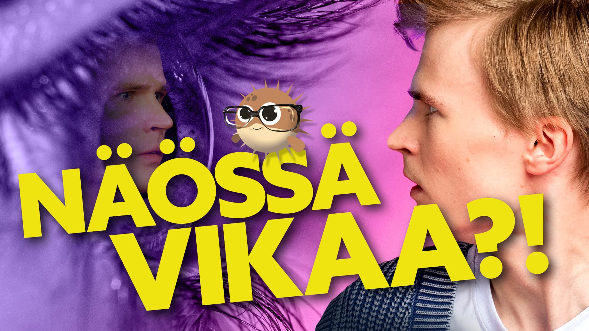 Yle Mix: Uudet pitkät videot | TV | Areena | yle.fi