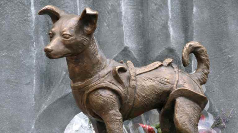 Lajka blev pionjär bland jordbor - 60 år sedan den första hunden ...