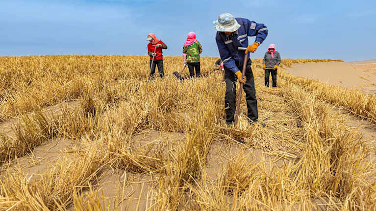 Jopa 40 prosenttia maailman maa-alasta uhkaa muuttua aavikoksi ...