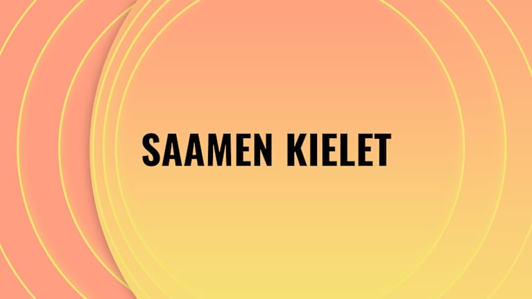 2025 kevät: pohjoissaame, äidinkieli ja kirjallisuus | Abitreenit | Yle