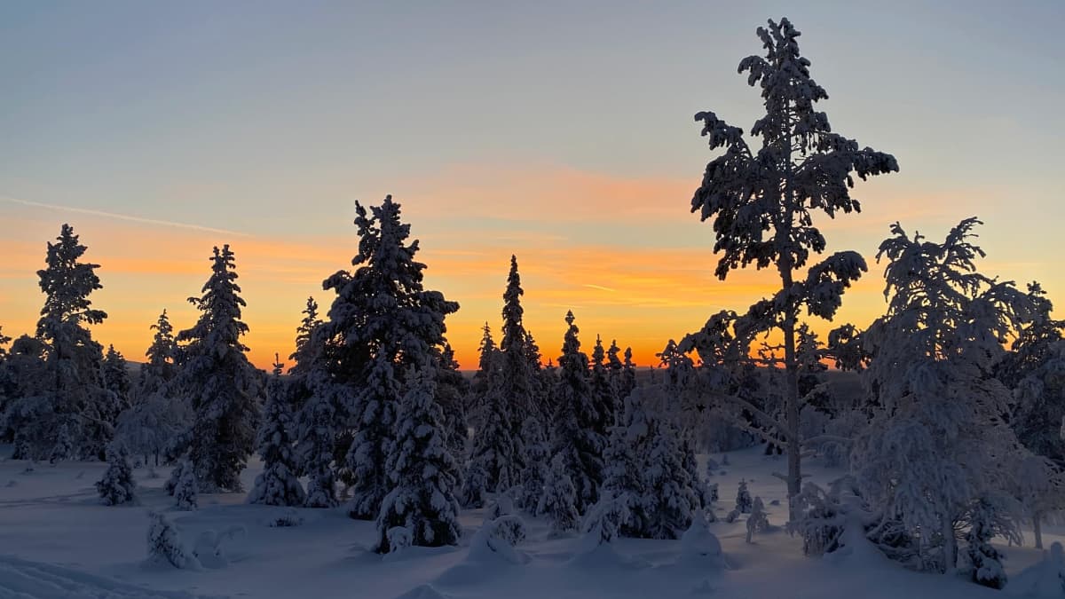 Lumivyörykouluttajan mukaan on suuri ihme, jos lumivyöryn alle ...