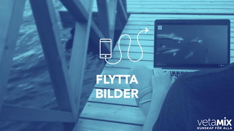 Digiträning: Flytta bilder från telefonen till datorn | Kunskap ...