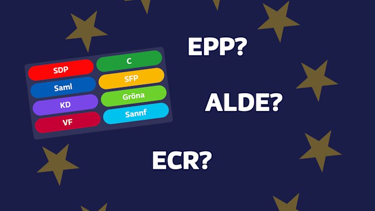 Var landar din röst i Europaparlamentet? Kolla vad grupperna står för ...