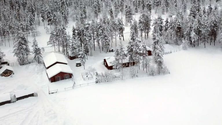Superharvinainen pyyn ja riekon poikue bongattiin Lapissa – dna ...
