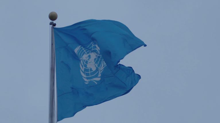 FN-dagen – värd att fira! | Kunskap | Svenska Yle