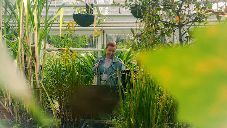 Aili Järvelä julkaisi pop-levyn kamari­orkesterin kanssa – yhä useampi ...