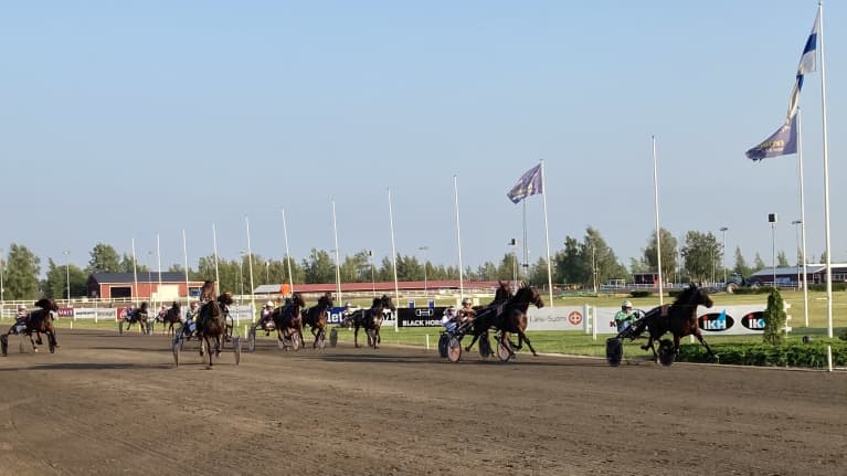 Timo Kalli on Porin Ravien uusi puheenjohtaja – henkilöstökuluja ...