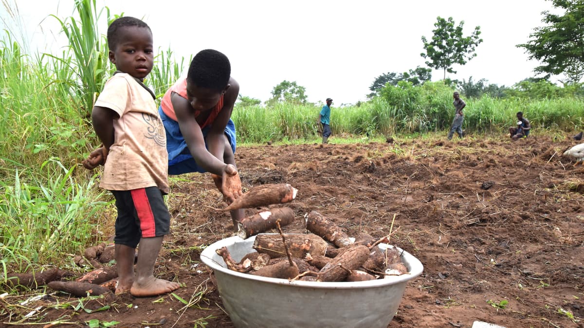 Ravintoloissa ei ole vessoja, kuoppa toimii käymälänä ja lieteauto ...