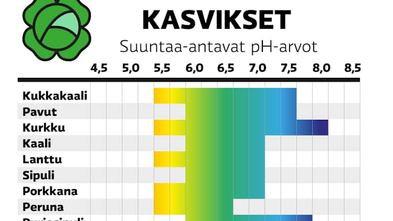 Tasainen pH-arvo, kalkki ja maanparannus – näitä puutarhasi tarvitsee ...