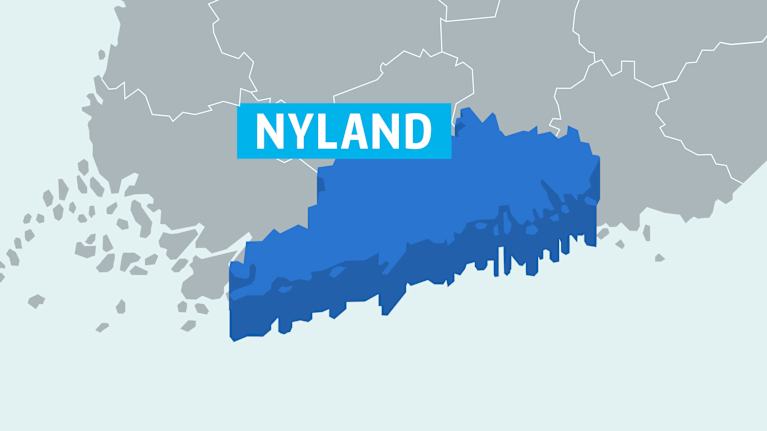 De tjänade mest i Nyland 2018 | Huvudstadsregionen | Svenska Yle