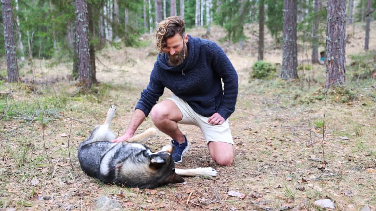 Finland's 'most-hated dog owner' slapped with fines | Yle News | Yle