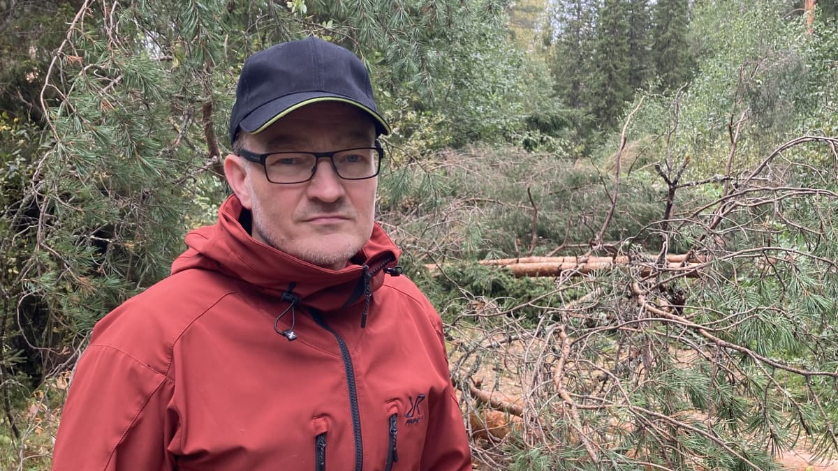 Varpu-myrsky runteli Keski-Suomea: Päijänteellä ehkä trombi ja ...