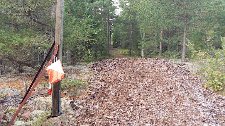 Åboland segrade i världens äldsta orienteringskamp | Åboland | Svenska Yle