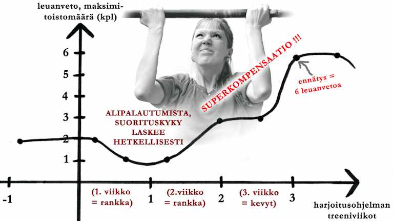 Näkökulma: Superkykyjä superkompensaatiolla! - Urheilutiedettä, osa 6 ...