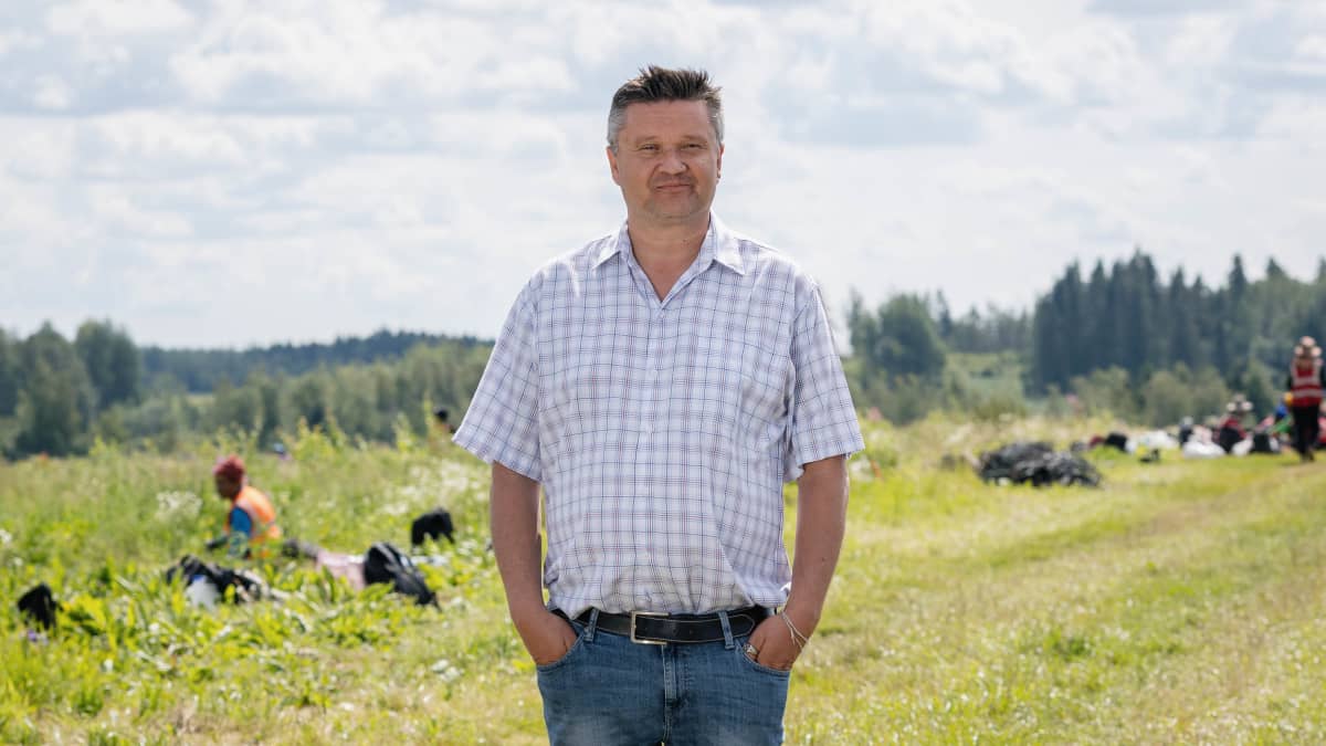 Dozens of Thai berry pickers believed victims of traffickers | Yle News ...