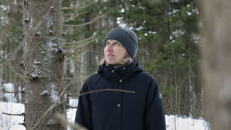 Luonto menee jatkossa rahan edelle – Suomen suurin seurakunta mullistaa ...