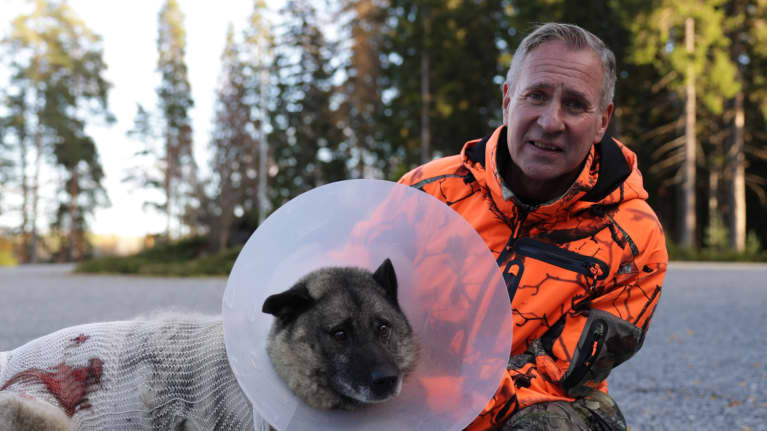 Pasi Heinonen ryntäsi metsään auttamaan tuskasta ulvovaa koiraansa ja oli yhtäkkiä vastakkain ...