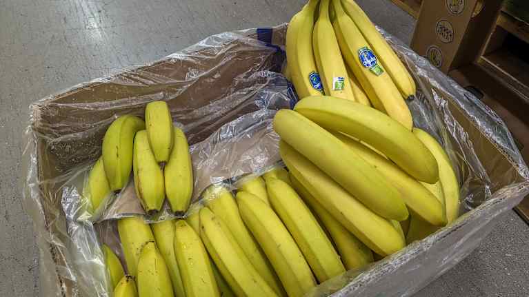 Saako banaaneja vielä kaupasta Panaman jätti-irtisanomisten jälkeen? Selvitimme kaupparyhmiltä ...