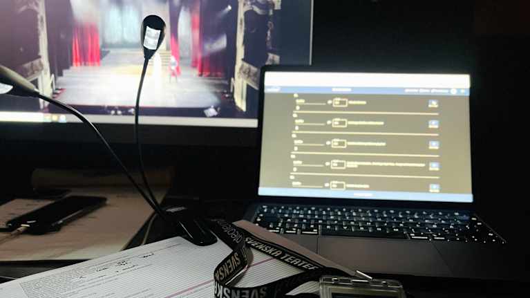 Syntolken Elin Sundell från Ekenäs vill att även de som inte kan se ska ...
