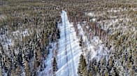 Aerial view of a snow-covered forest with a snowy road through it.