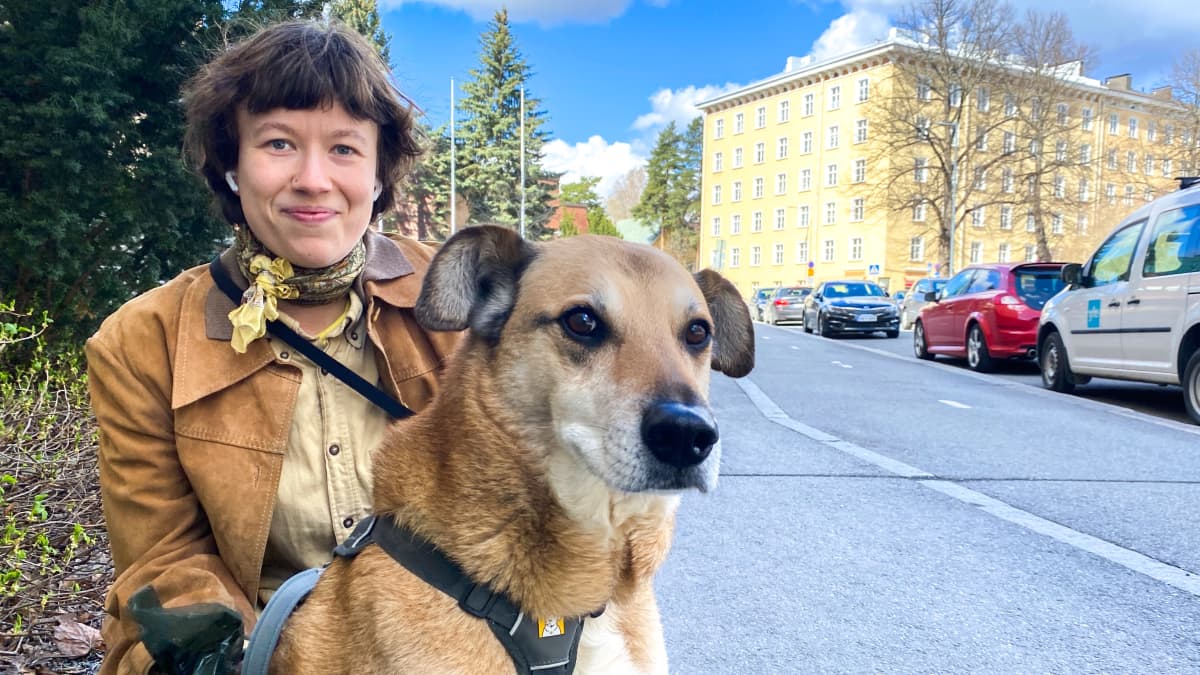 Koira ei ymmärrä, mitä on vapaus – siksi irrallaan juoksemista tärkeämpää on, millaisia ...