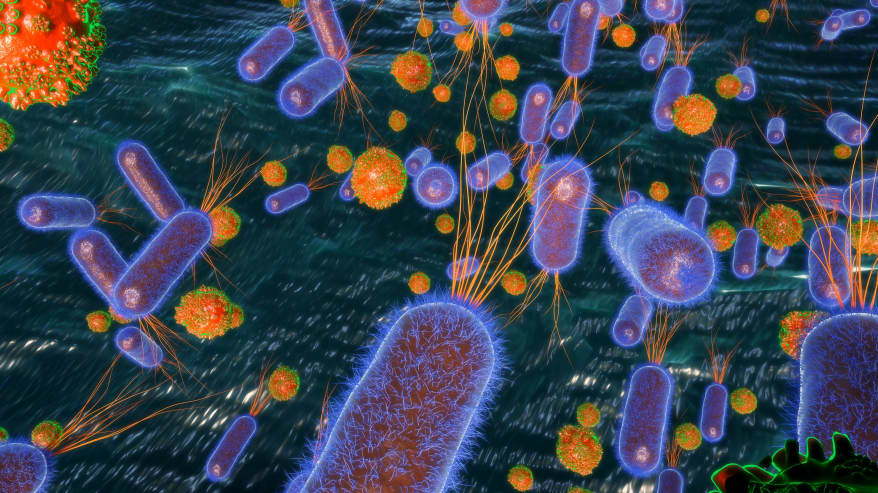 Tutkija uskoo mikrobien supervoimaan: Jo jukurttilusikallisessa on yhtä ...