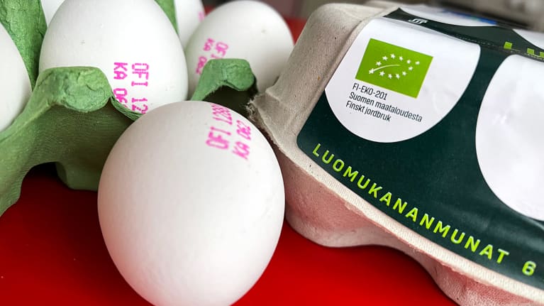 Tämän takia voit olla huoletta, jos kananmunista löytyy matoja ...