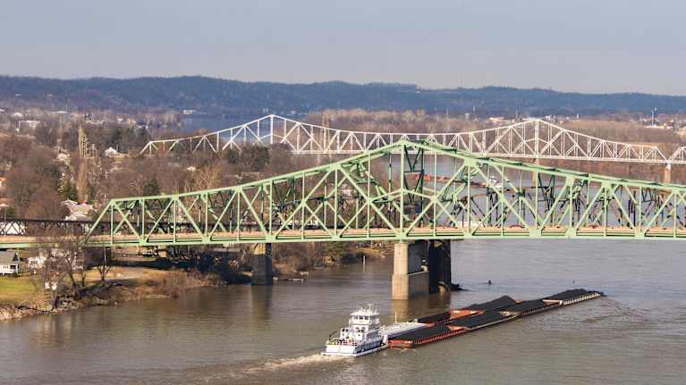 Jennifer Piggott, 47, äänesti Trumpia, mutta sahasi omaa oksaansa ...
