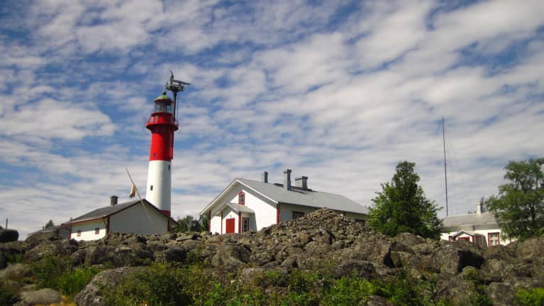 Ovanliga fåglar på Tankar | Österbotten | Svenska Yle
