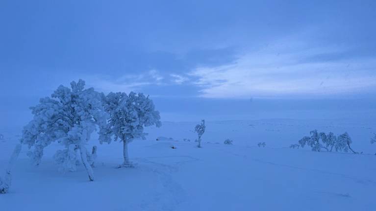 Kaamos alkaa Utsjoella | Uutisia lyhyesti | Yle