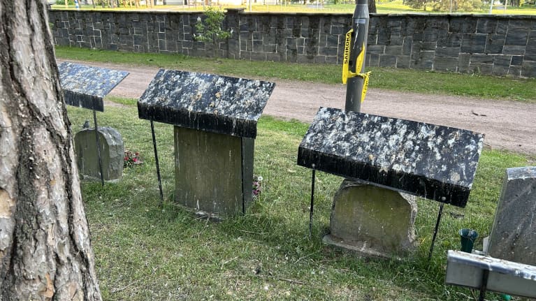 Mustavaristen ulostetykitys sai seurakunnan mitan täyttymään Porissa ...