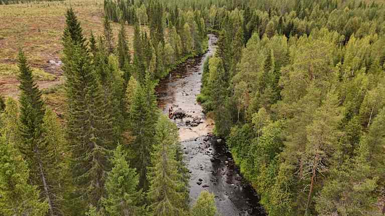 Stora Enso stoppar all avverkning på områden som begränsas av ...