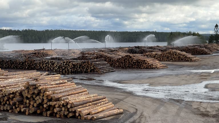 Timber shortage forcing change in Finland's wood industry | Yle News | Yle