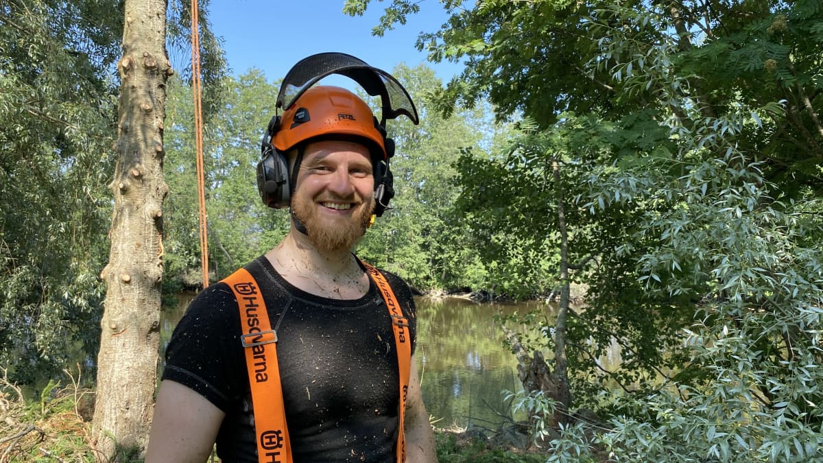 Valjaat päälle, moottorisaha käteen ja kuusen latvaan – terve pelko ...