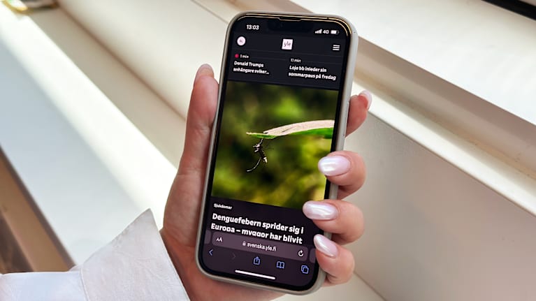 Välkommen till nya svenska.yle.fi! | Inrikes | Svenska Yle
