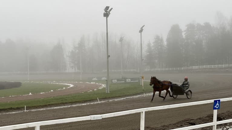 Tulevien Kuninkuusravien järjestäjiä valittu: 2026 vuorossa ...