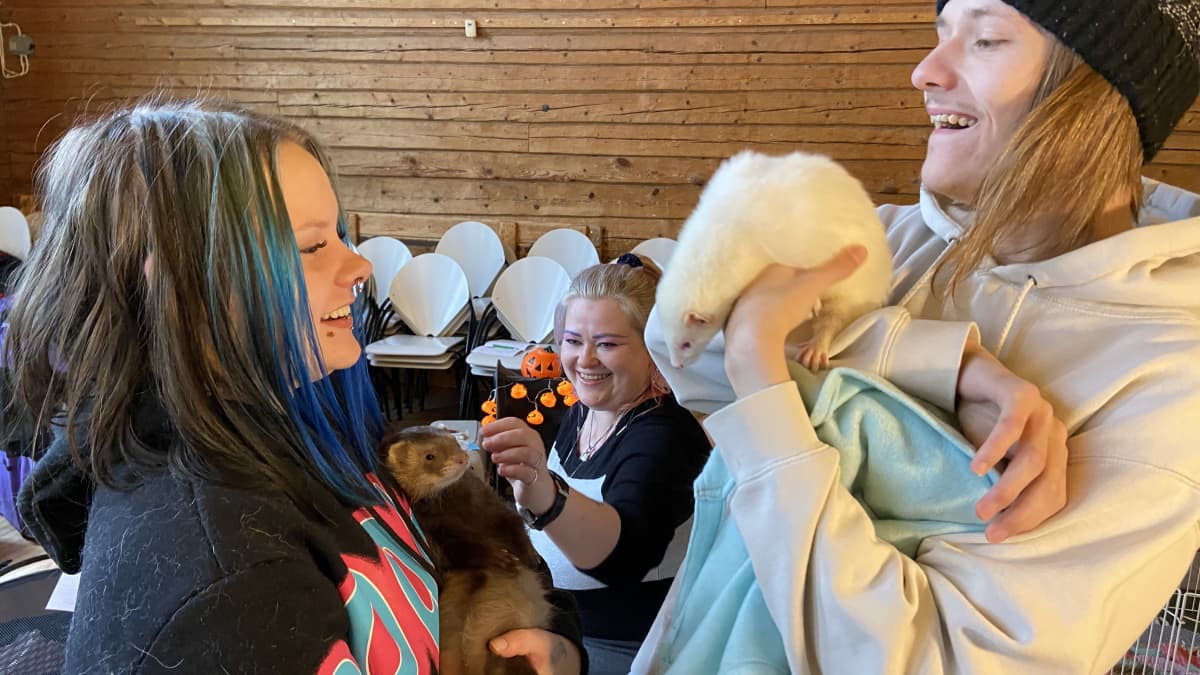 Fretti on kovapäinen petoeläin, mutta lemmikin omistajaa se vain ...