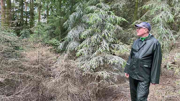 Tillfälliga möten och nyfikenhet gjorde Kaj Mattsson till biolog | Åboland | Svenska Yle
